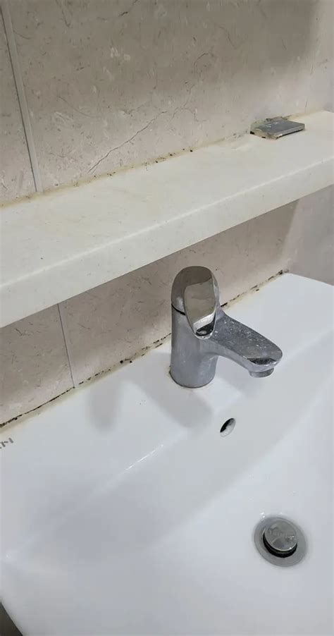 욕실 및 싱크대 실리콘 재시공 권오성 숨고 숨은고수