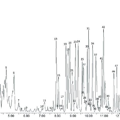 Base Peak Chromatogram Of Fermented Avocado Leaf By Hplc Esi Tof Ms Download Scientific Diagram