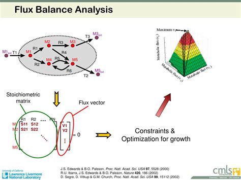 Ppt Cellular Metabolic Network Modeling Powerpoint Presentation Free
