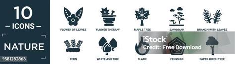 채워진 자연 아이콘 세트입니다 나뭇잎의 납작한 꽃 꽃 치료 단풍 나무 사바나 나뭇잎 고사리 흰 물푸레 나무 불꽃 풍수 종이 자작 나무 아이콘을 편집 가능한 형식으로