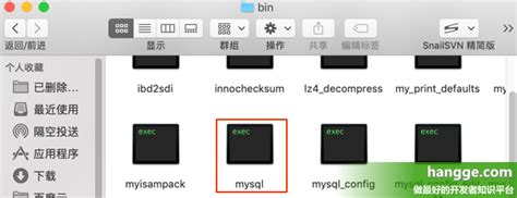 Macos下mysql的安装和使用（附详细步骤）