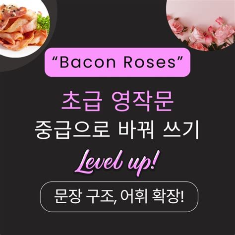 영어 문장 구조 확장하기 초급에서 중급 영작으로 네이버 블로그