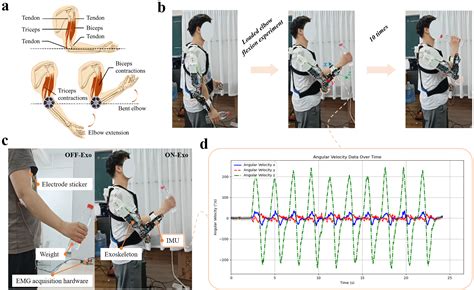 A Low Cost Upper Limb Exoskeleton Assistive Device