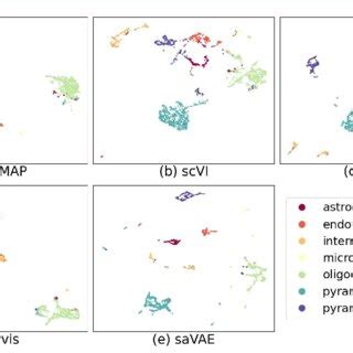 Embeddings From Retina Dataset The UMAP Fails To Separate The Cell