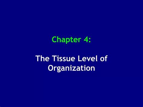 PPT Chapter The Tissue Level Of Organization PowerPoint Presentation ID