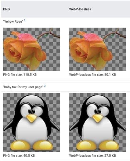 Compressing Pictures For Website Speed With WebP Images