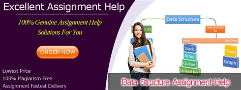 Strategies For Managing Data Structure Assignment Stress