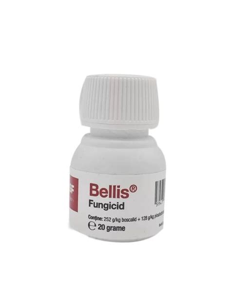 Белис Дворът БГ