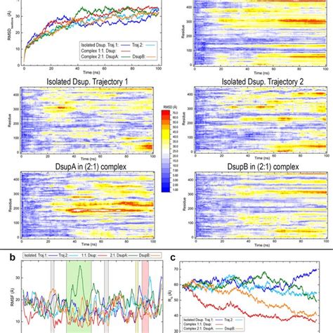 Sequence And Structural Features Of Dsup And Dsup Like Proteins A Download Scientific
