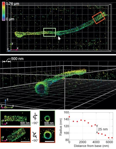 Huang Wins 18m Nih And 500k Darpa Awards To Advance Super Resolution Imaging Biomedical