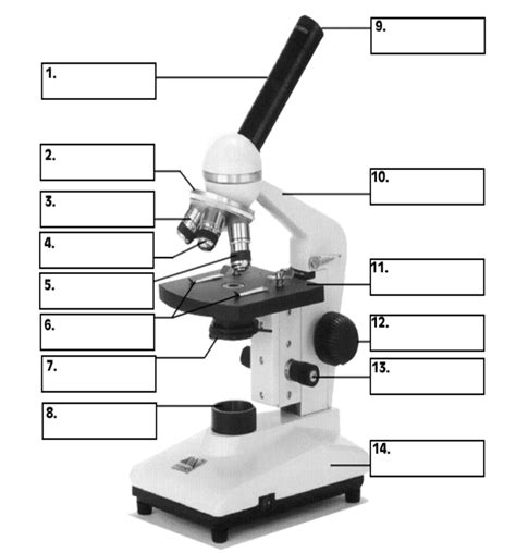 Microscope Parts Functions Diagram Quizlet