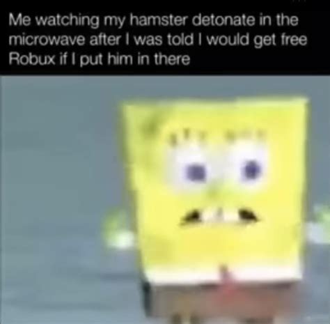 Krnl File Explorer Is Stuck On Working On It R Robloxhackers