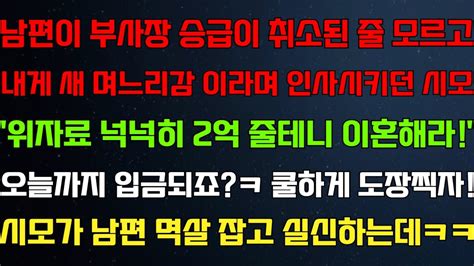 반전 신청사연 남편이 부사장 승급이 취소된 줄 모르고 내게 새 며느리감 이라며 인사시키던 시모 이혼한 순간 나락가는데라디오드라마사연실화사연의 품격썰 Youtube