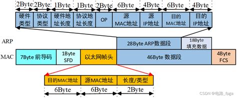以太网帧格式及arp协议简介 arp格式 csdn博客