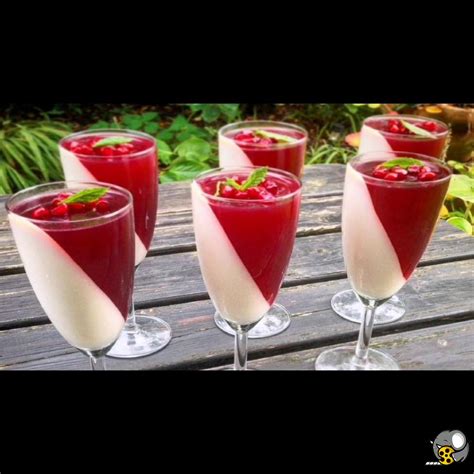 طرز تهیه ژله انار شب یلدا خوشمزه و مجلسی با بستنی فیلو