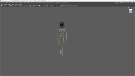 3d Coco Walking Animation Skeleton Model Turbosquid 2091352