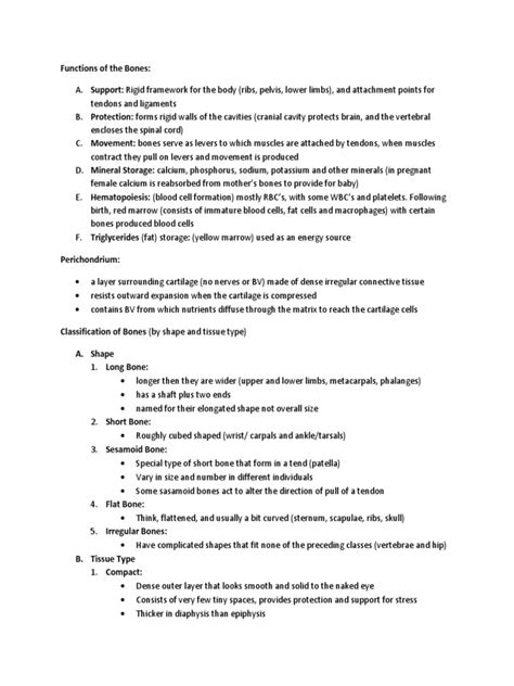 Functions Of The Bones Pdf Osteoblast Bone