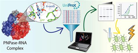 Computational Evolution Of An Rna Binding Protein Towards Enhanced Oxidized Rna Binding
