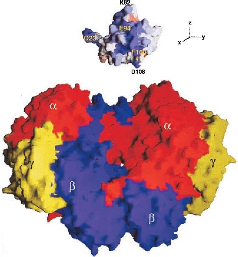 Figure 5 From Structure Of The Soluble Methane Monooxygenase Regulatory Protein B Semantic