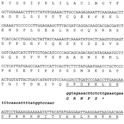 Full Length Cdna Sequence Of The Novel Gene Alternatively Spliced Download Scientific Diagram