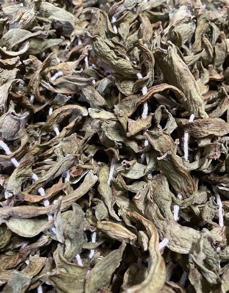 Getrocknete Bohnen 4 Personen Asoss Yöresel