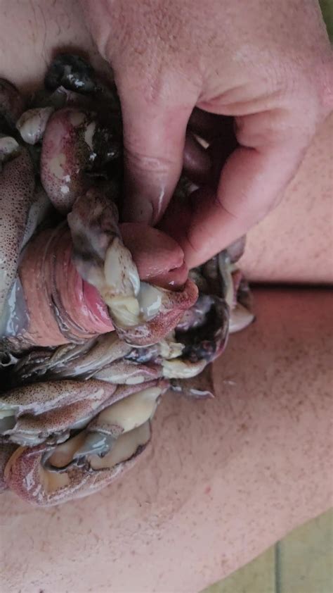 Squid Cum