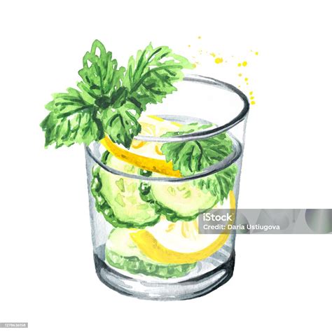 신선한 레몬과 오이 슬라이스 민트 잎을 곁들인 정제된 식수 한 잔 흰색 배경에 고립 된 손으로 그린 수채화 그림 개념에 대한 스톡 벡터 아트 및 기타 이미지 Istock