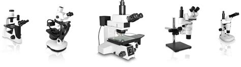 Microscope Supplier Microscope Wholesaler Microscope Manufacturer
