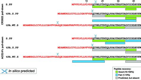 Signal Peptide Analysis Of Membrane Bound S Proteins Lc Ms Ms Analysis Download Scientific
