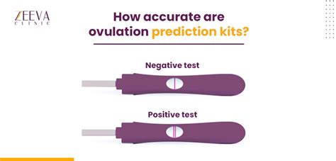 Ovulation Prediction Kits How To Use Them To Detect Fertility