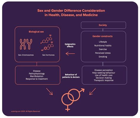Womens Biometrics Harnessing The Potential Of Gender Specific Health