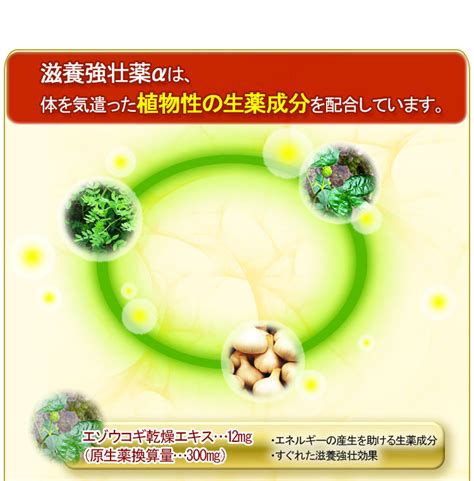 【楽天市場】【第3類医薬品】 滋養強壮薬α 160錠：くすりの勉強堂＠最新健康情報