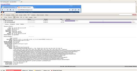 Sunils Notes What Happens When You Click On F5 Refresh Button Of