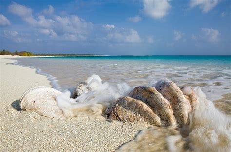 Bikini Atoll Island