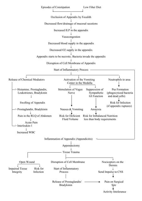 Pathophysiology Of Appendicitis Doc