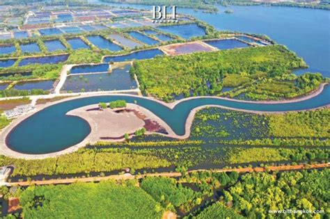 สวนพฤกษศาสตร์ป่าชายเลนนานาชาติ ร 9 การก่อสร้างเฟส 1 คืบหน้าแล้ว 95 คาดเสร็จสมบูรณ์ในปี 66 Blt