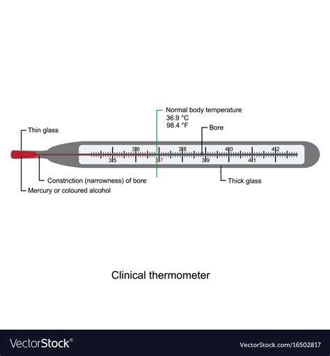 Labeled Diagram Of A Thermometer