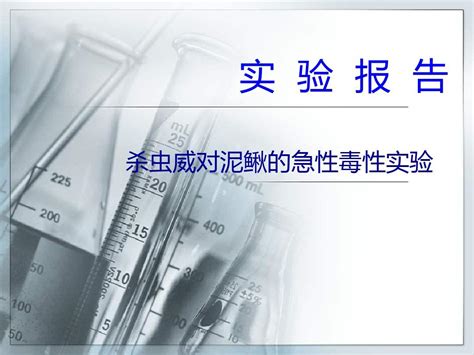 实验报告word文档在线阅读与下载无忧文档