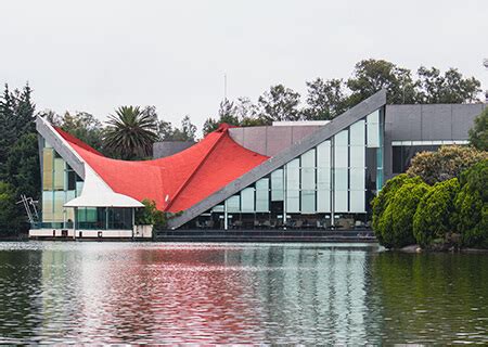 Lagoalgo Bosque De Chapultepec