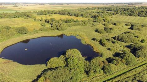 The Fens Wetland Farming Project Tests Net Zero And Food Security Bbc