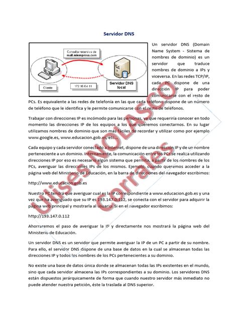 02 Practica Protocolo Dns Pdf Servidor Web Internet Y Web