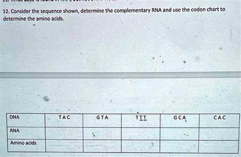 solved consider the sequence shown determine the complementary rna