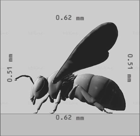 Hornet Bee 3d Model Ready To Print