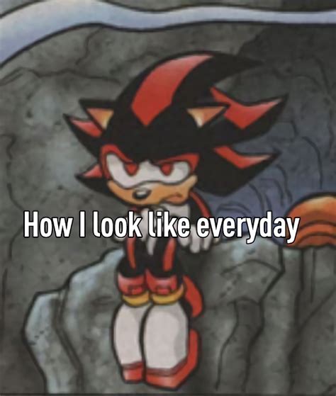 Best 13 Shadow The Hedgehog Shadow The Hedgehog Shadow The Hedgehog Shadow The Hedgehog Shadow