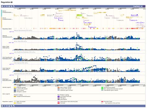 Gtex Eqtl Data Now In Ensembl Ensembl Blog