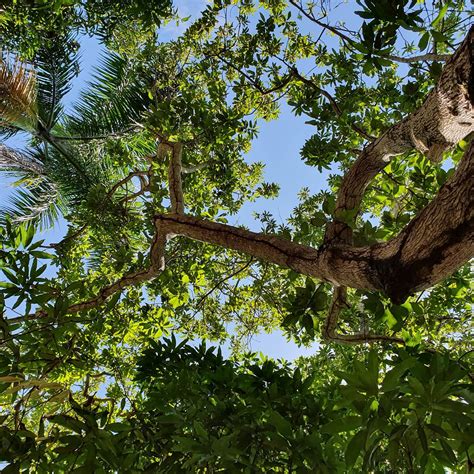 Harlin Ulloa Espinal Harlin U • Instagram Photos And Videos