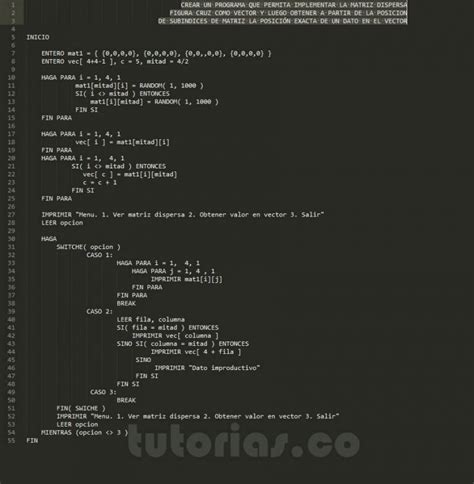 Arreglos Pseudocodigo Matriz Dispersa Figura Cruz En Vector Tutorias Co