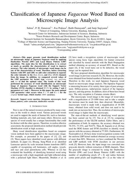 Pdf Classification Of Japanese Fagaceae Wood Based On Microscopic Image Analysis