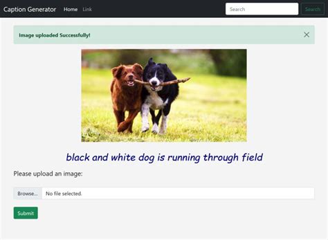 Amirhossein Mirshahi On Linkedin Deeplearning Computervision Docker Nlp Imagecaptioning