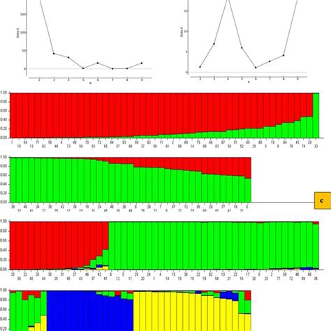 Population Structure Analysis Using Structure V234 And Structure